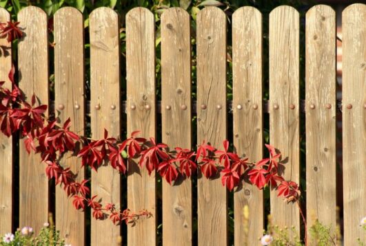 How to Fix a Sagging Fence in 15 Easy Steps - Housely
