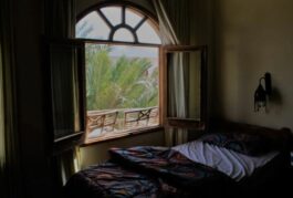 15 Simple Ways to Remove Mothball Odor - Housely