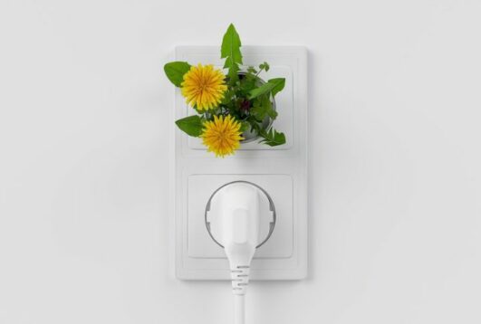 How to Choose Between 15 and 20-Amp Outlets - Housely