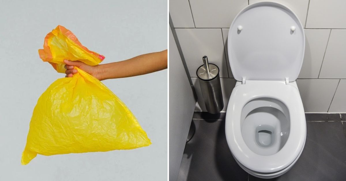 15 Household Objects To Avoid Flushing In Your Toilet - Housely