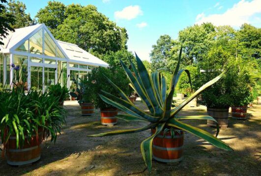 10 Beautiful Conservatory Ideas for Every Style of Home - Housely