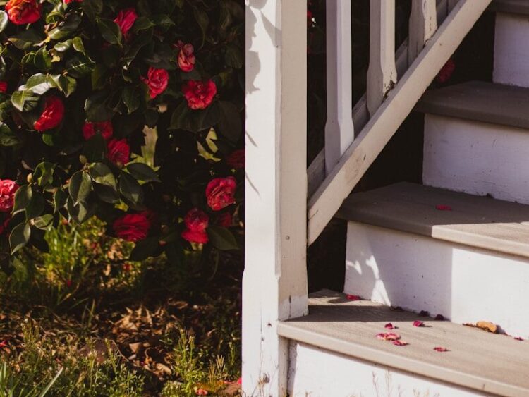 15 Traditions From the Past That Are Slowly Fading Away - Housely