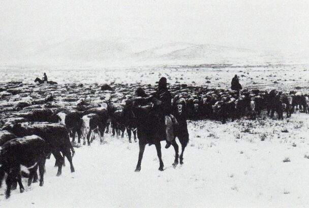 Rare Glimpses Into the Lives of America’s Early Cowboys - Housely