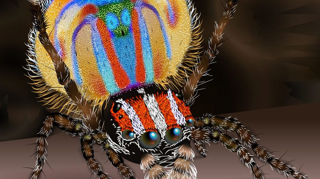 Animals Archives - Page 3 of 20 - Housely