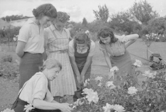 What Daily Life Looked Like Before Technology - Housely