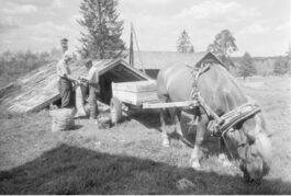 What Daily Life Looked Like Before Technology - Housely