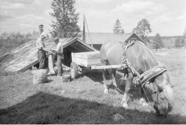 What Daily Life Looked Like Before Technology - Housely