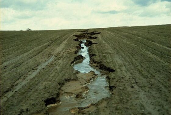 10 Facts About The Lake Peigneur Drilling Disaster - Housely