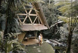 10 Pod Homes That Maximize Comfort Without Sacrificing Space - Housely