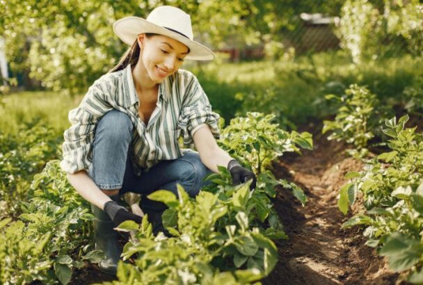 20 Gardening Tips To Welcome Spring - Housely