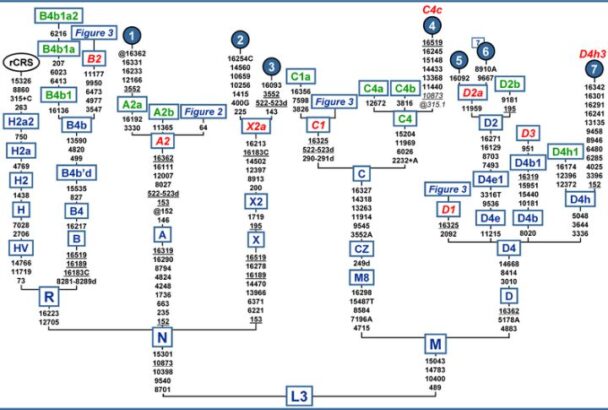 How Did The First Americans Arrive? 10 Fascinating Theories - Housely