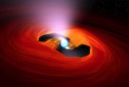 20 Different Types Of Stars In The Universe - Housely