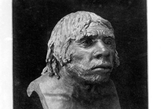 10 Remarkable Facial Reconstructions From Ancient History - Housely