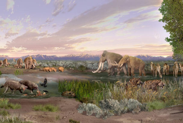 10 Theories That Could Explain The Vanishing Of The Clovis People - Housely