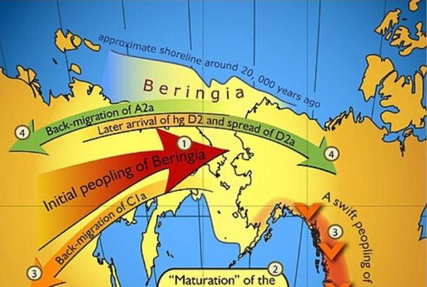 Theories About How Early Migrations Across Continents Took Place - Housely