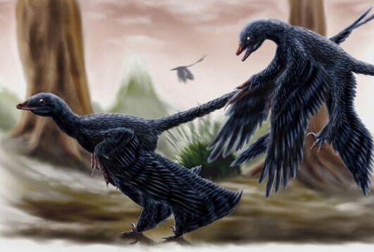 What Science Says About 20 Common Dinosaur Myths - Housely