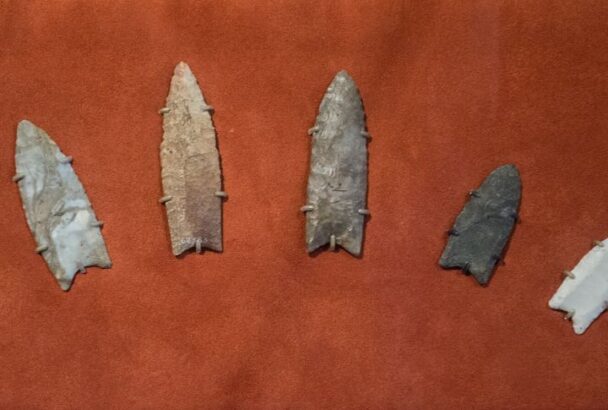 Theories About How Early Migrations Across Continents Took Place - Housely