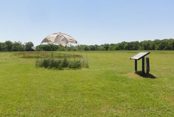 10 Ancient Civilizations That Shaped Early North America - Housely