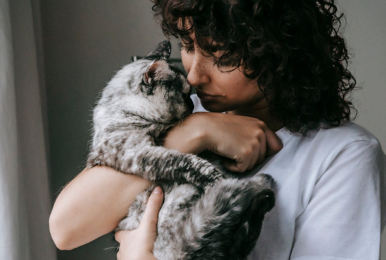 20 Common Mistakes New Cat Owners Make Without Realizing It - Housely
