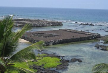 What Daily Life Looked Like In Pre-Colonial Hawaii - Housely