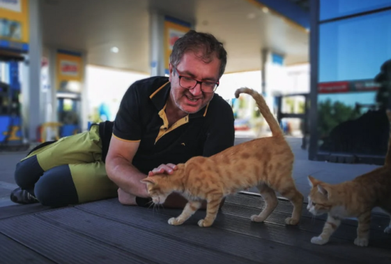 20 Common Mistakes New Cat Owners Make Without Realizing It - Housely