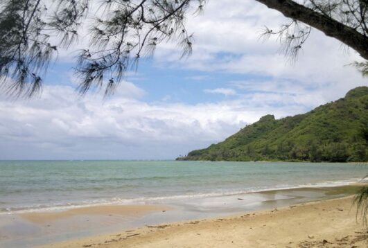 What Daily Life Looked Like In Pre-Colonial Hawaii - Housely