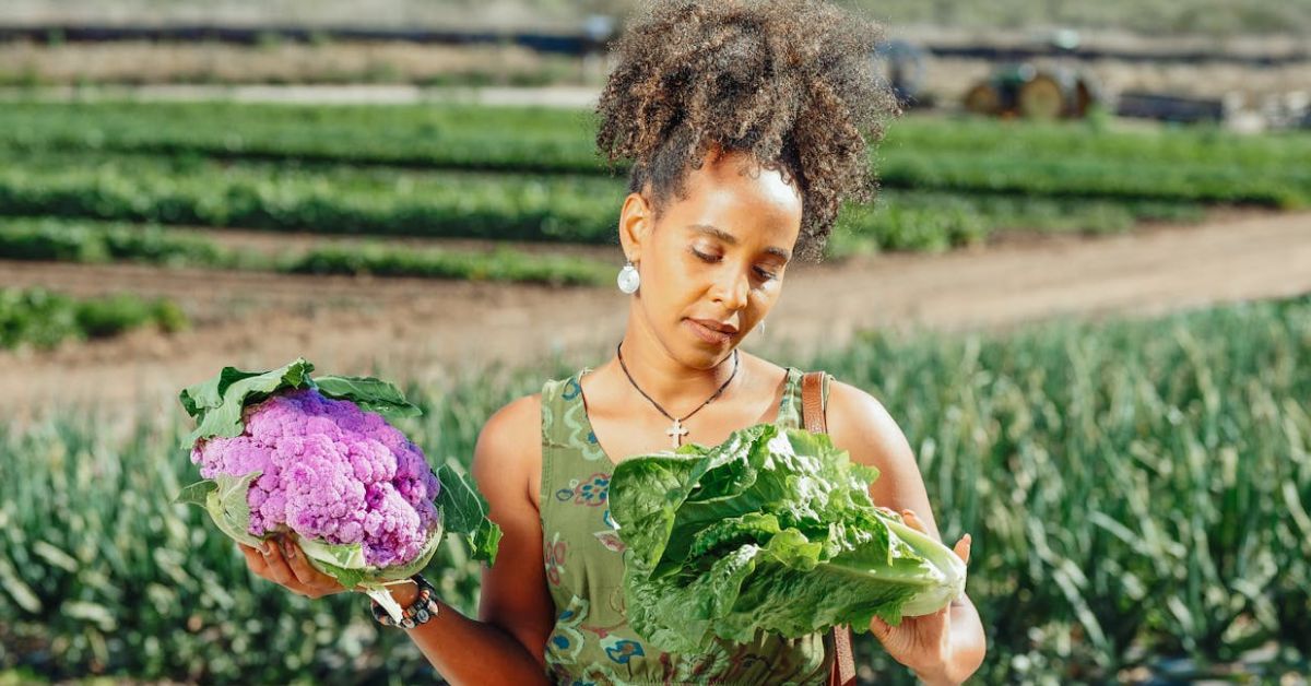 10 Vegetables That Thrive Without Direct Sunlight - Housely