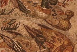 10 Foods That Fed Pompeii Before Vesuvius Struck - Housely