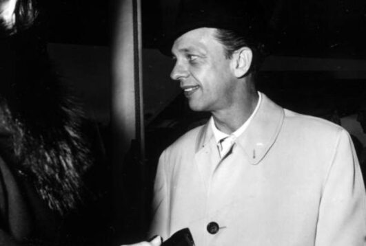 Don Knotts' Journey Through Fame And Friendship - Housely