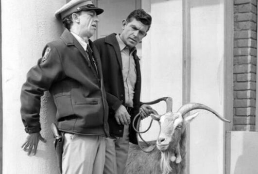 Don Knotts' Journey Through Fame And Friendship - Housely