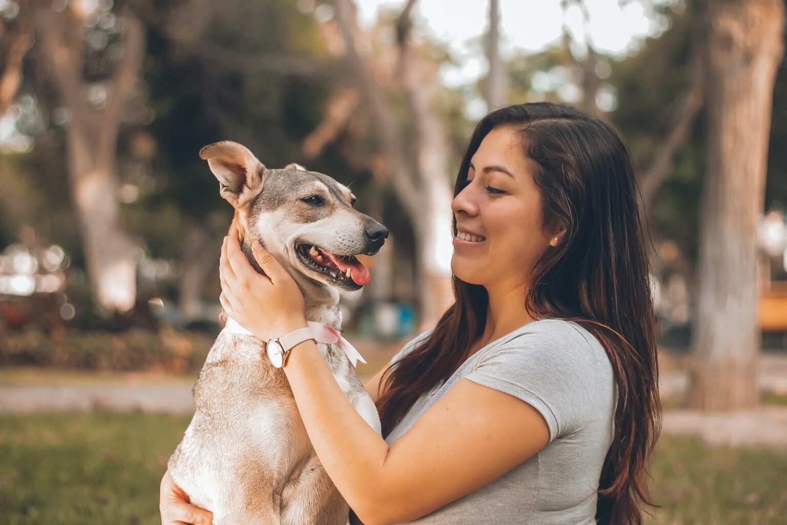 15 Reasons Many Women Choose Pets Over Partners - Housely