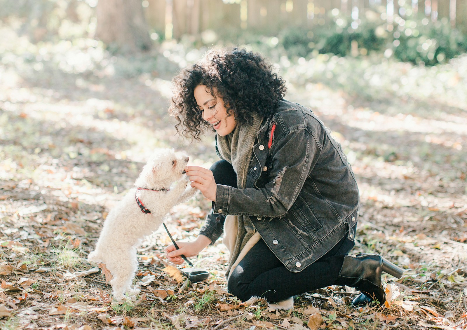 15 Reasons Many Women Choose Pets Over Partners - Housely