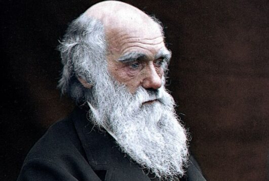 20 Historical Figures And Their Final Sayings - Housely