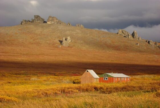 10 Surprising Facts About Prehistoric America You Likely Missed In ...