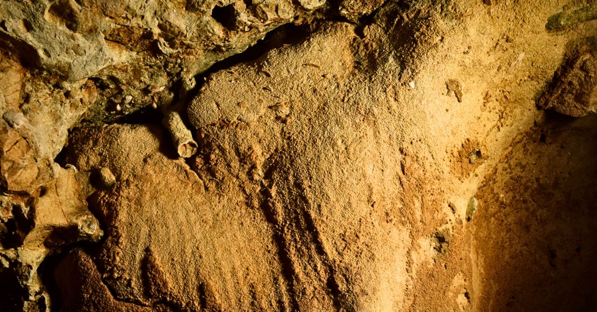 10 Objects That Reveal Life In The Cave Before Humans - Housely