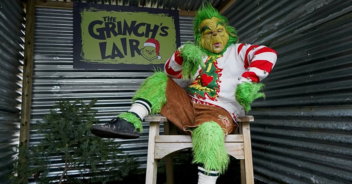 10 Lessons Hidden Behind The Grinch’s Bad Attitude - Housely