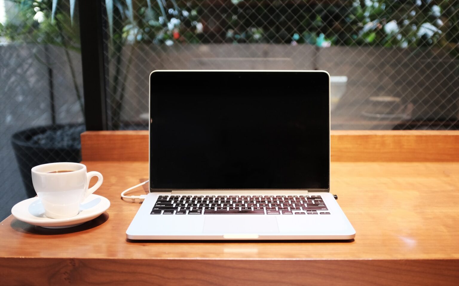 15 Online Scams Older Americans Should Watch Out For - Housely